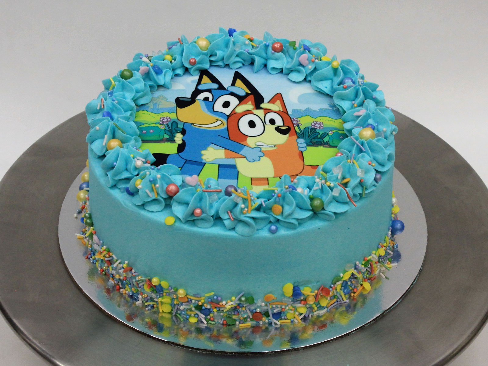 Bluey and Bingo Cake – The Cake People
