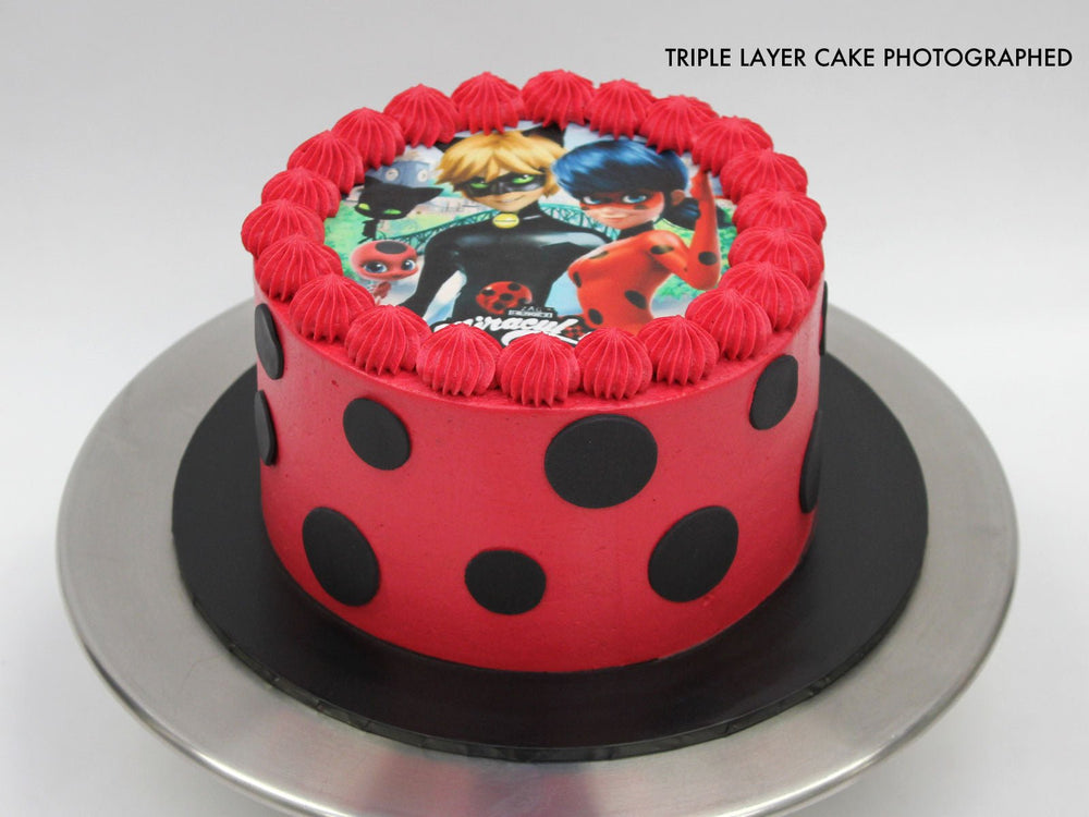 Miraculous: Tales Of Ladybug & Cat Noir Cake – The Cake People